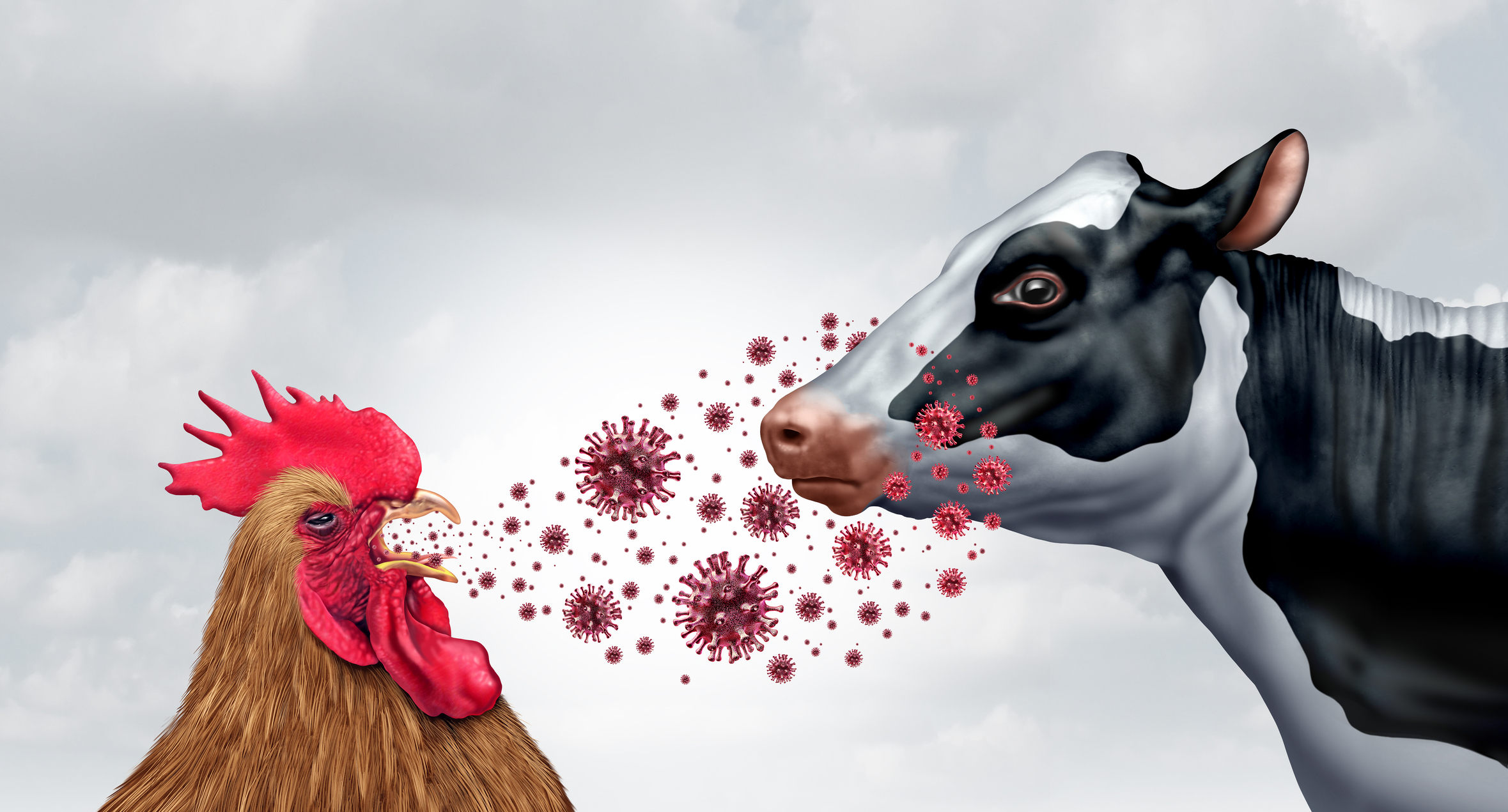 Everything You Should Know About The Bird Flu Virus Health BeatHealth